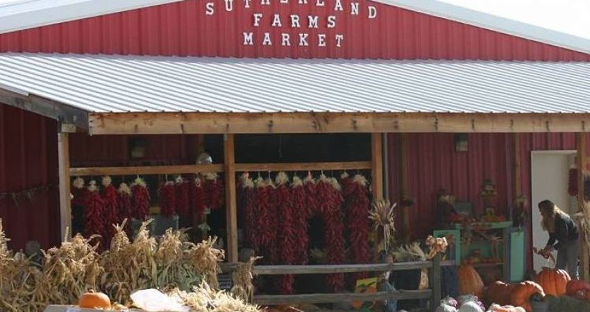 Events & Festivals | Farmington