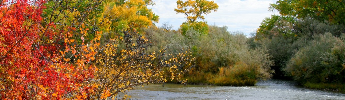 Visit Farmington, NM | Things to Do, Lodging, Restaurants & More ...